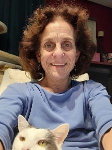 Our Counselors - Darien Wellness