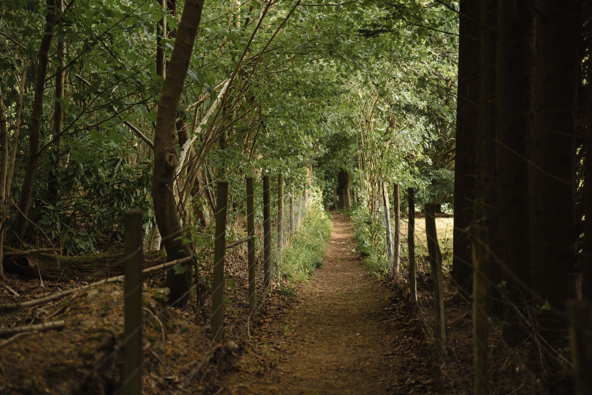 Substance Addiction & Recovery | Therapy | Temecula, CA