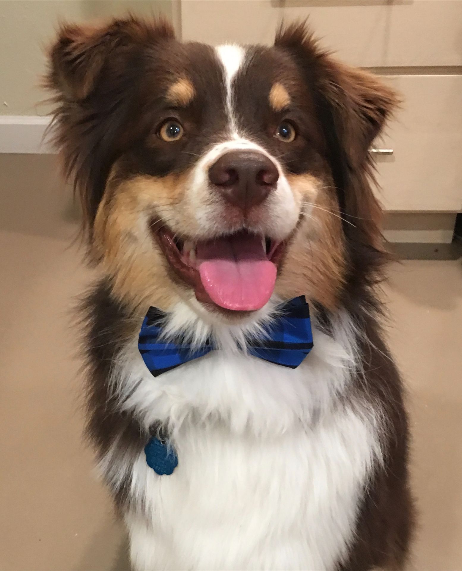 About Our Team | EMDR, CBT & DBT | Shepherdstown, WV 25443