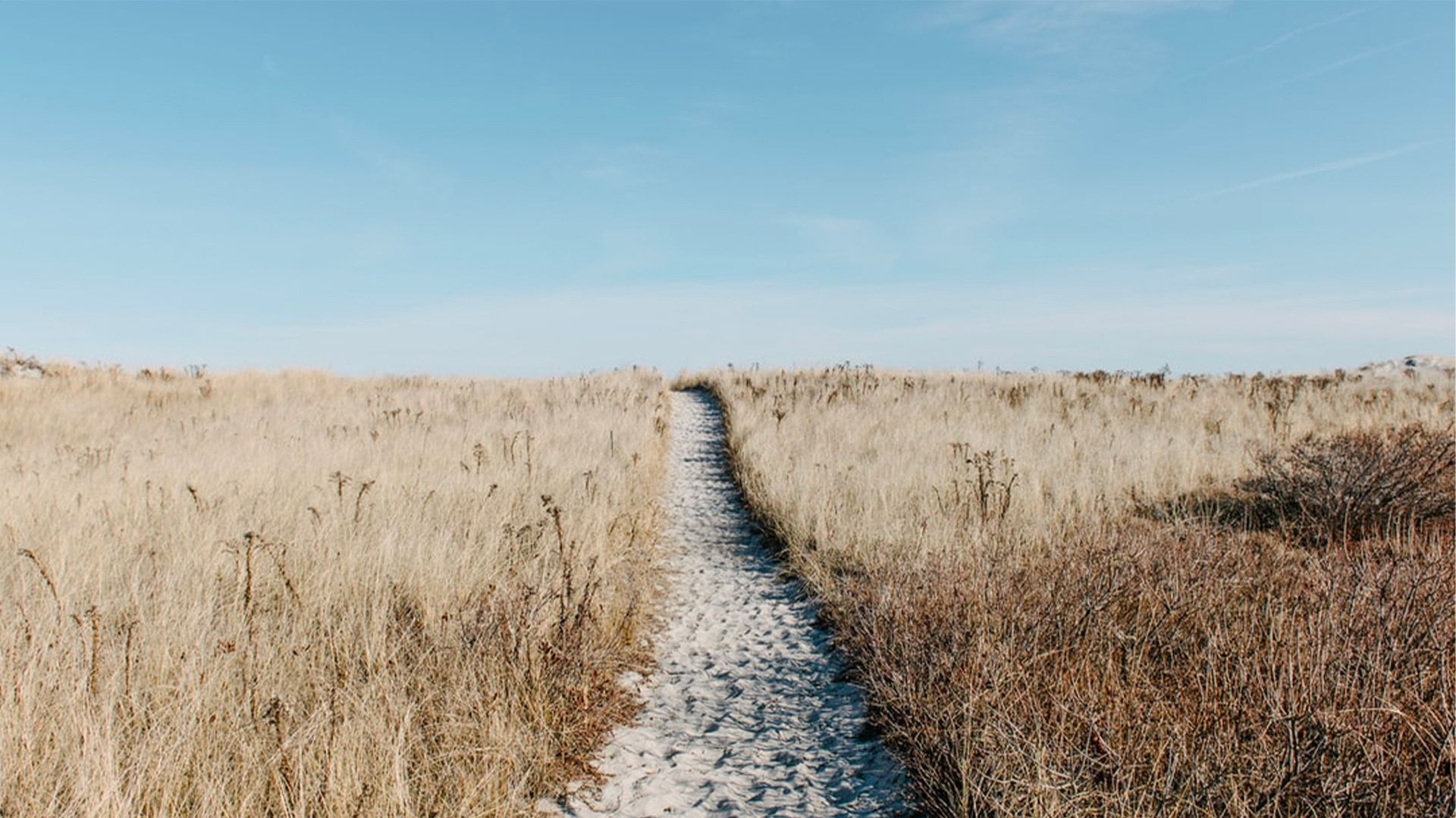 What Trauma-Informed Care Actually Means - Point of Convergence Therapy ...